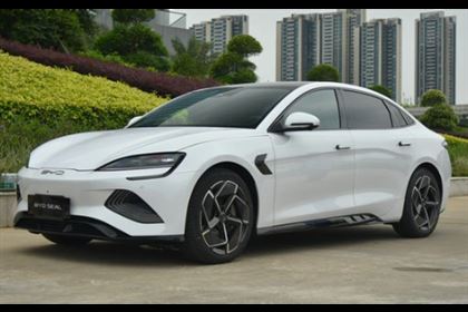 BỆ BƯỚC CHÂN BYD SEALION 13442644-00 CHÍNH HÃNG - SEDANVIET.VN