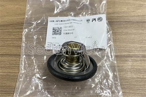 VAN HẰNG NHIỆT MG ZS 10013853 CHÍNH HÃNG - SEDANVIET.VN